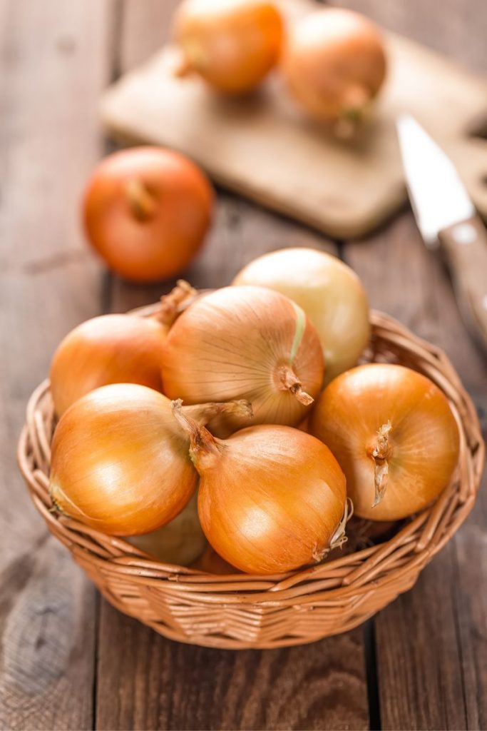 CEBULA JADALNA – CIEKAWOSTKI I HISTORIA - Artemisia